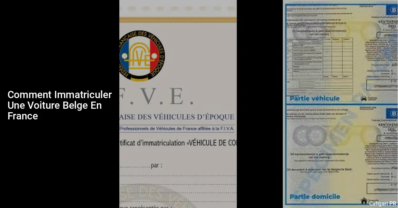 Le guide complet pour immatriculer une voiture belge en France : toutes ... Le guide complet pour immatriculer une voiture belge en France : toutes ...